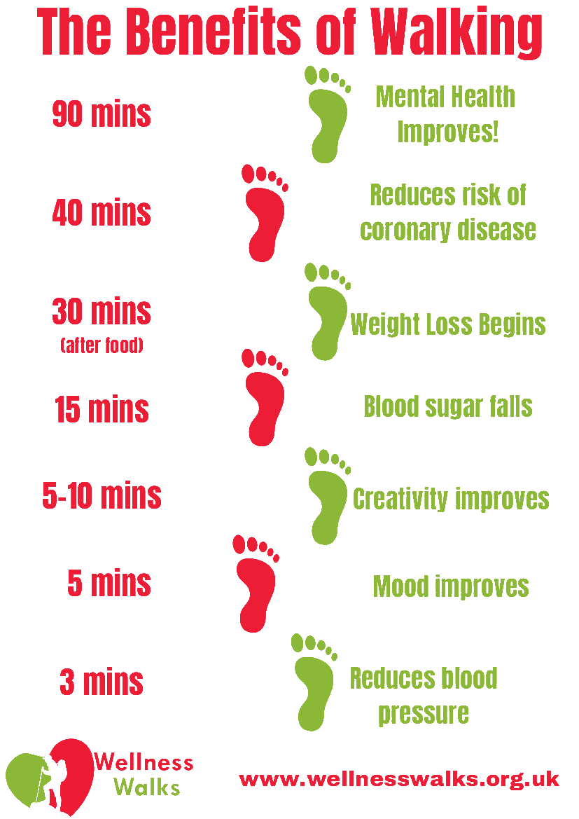 The Benefits of Walking… – Wellness Walks