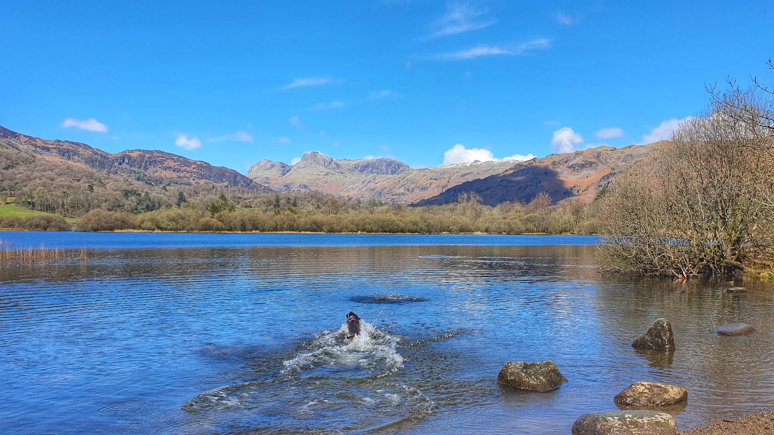 Big Day Out – Elterwater Round – Wellness Walks