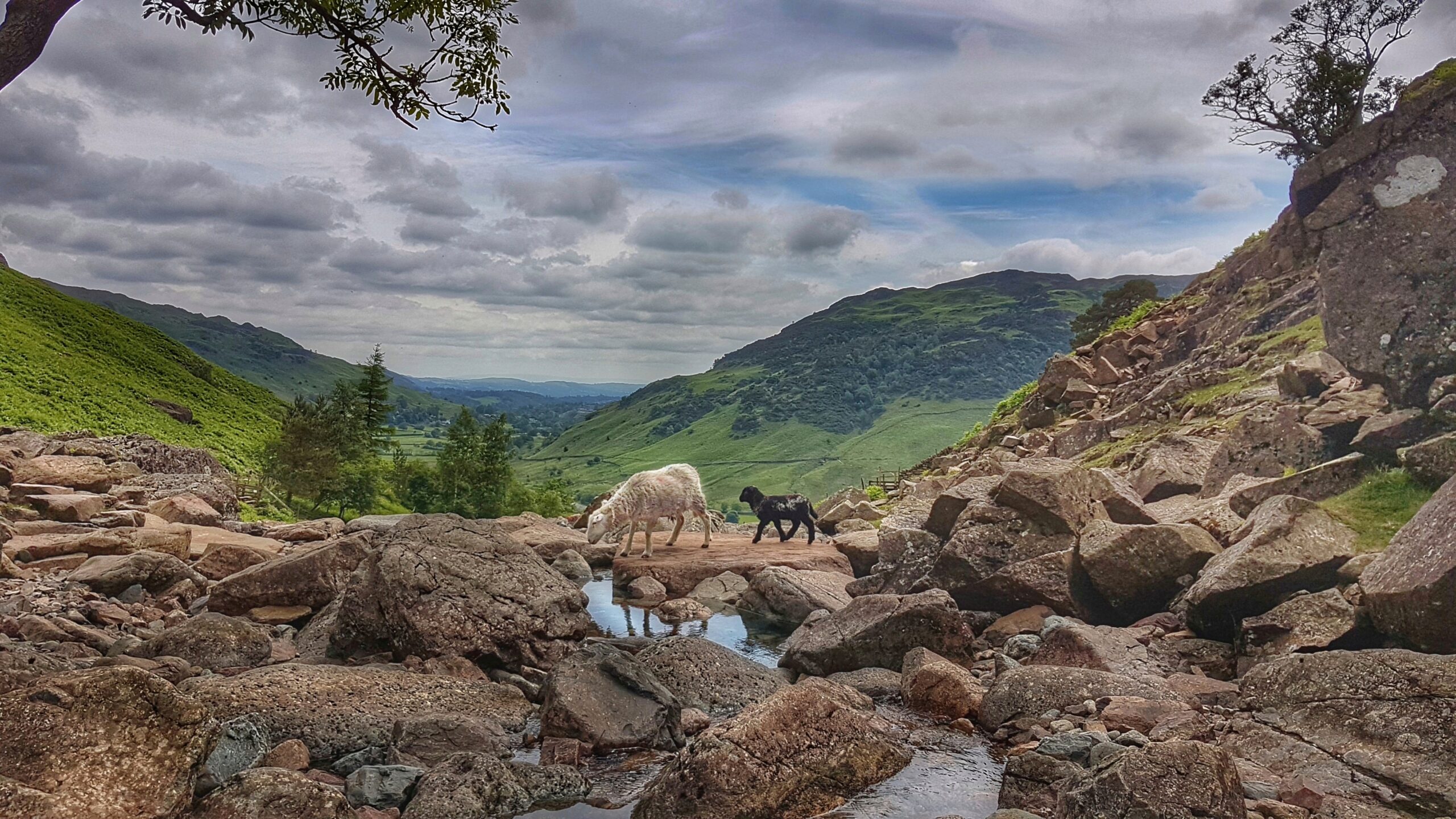 Stickle Tarn Langdale – Wellness Walks