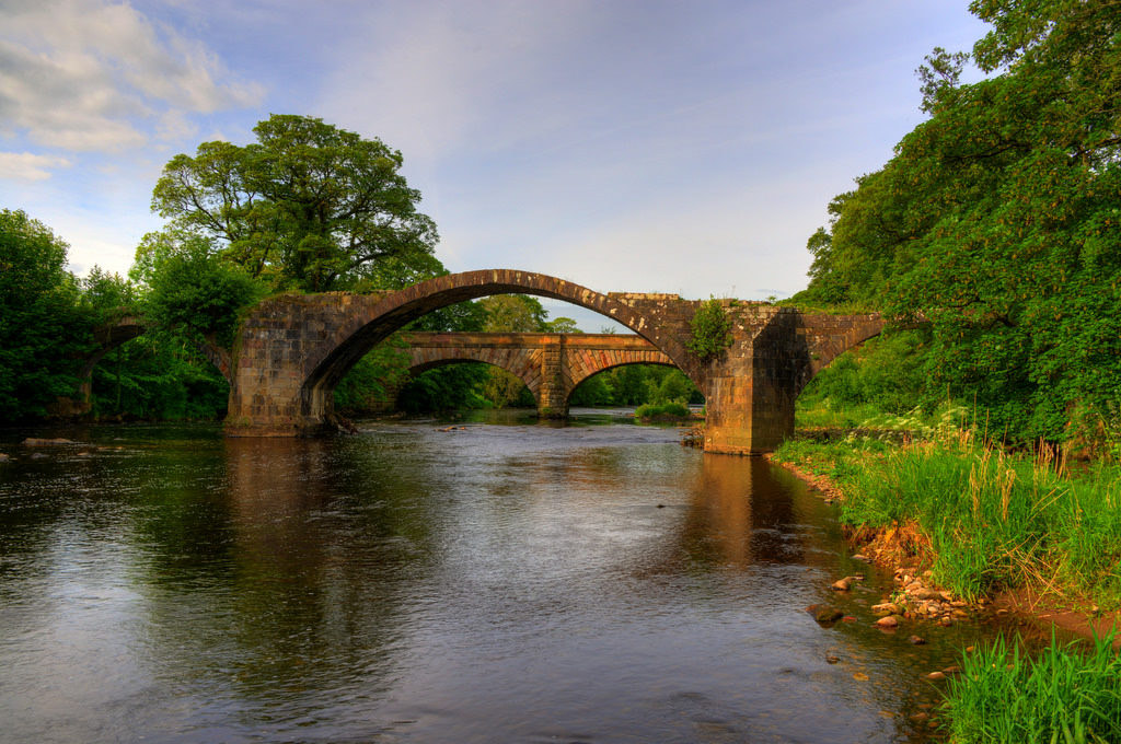 TOLKEIN TRAIL – Repeated! – Wellness Walks