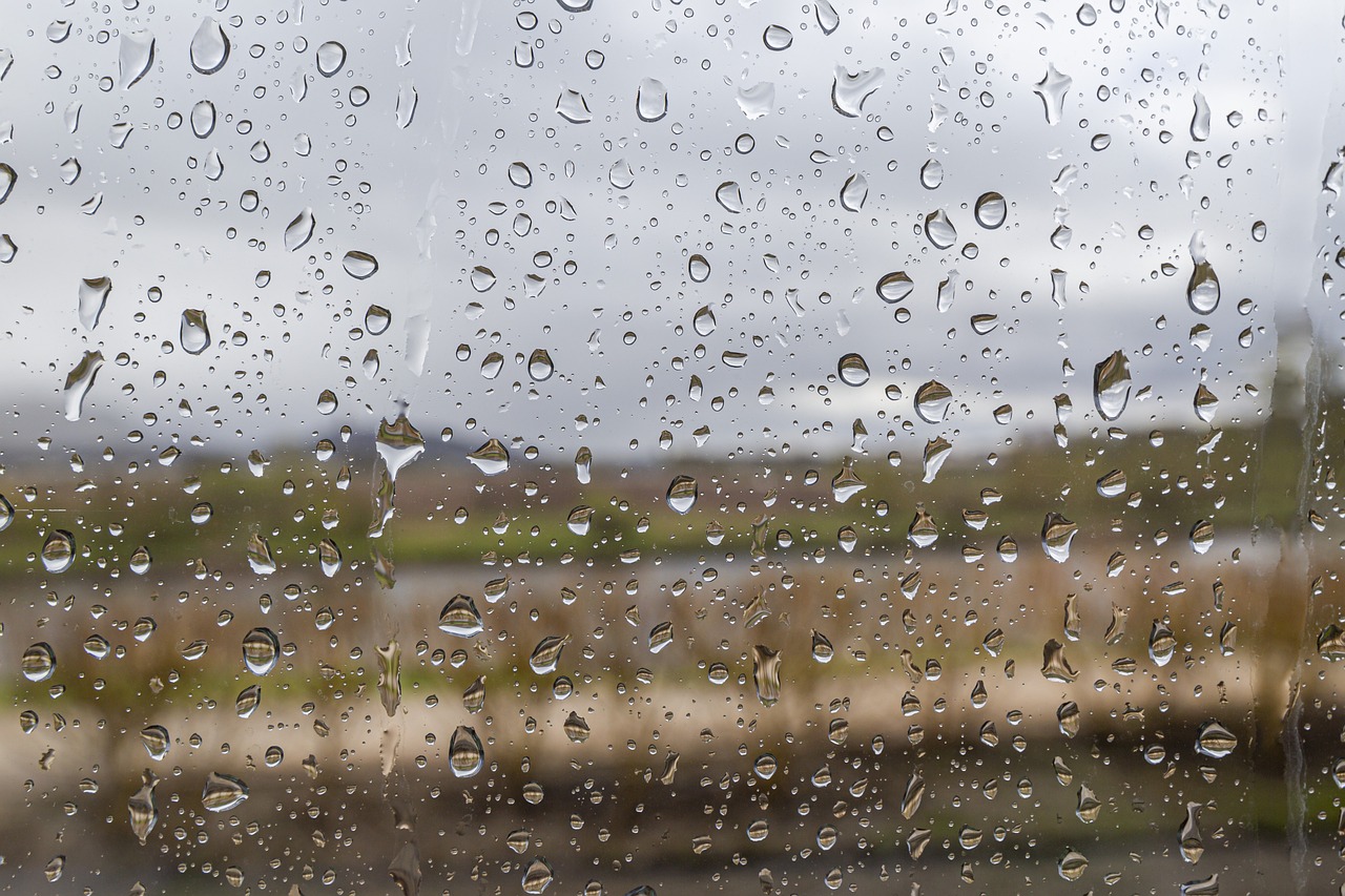 Walking in the Rain – Wellness Walks