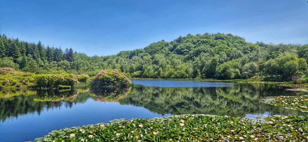 Parkgate Tarn – Wellness Walks