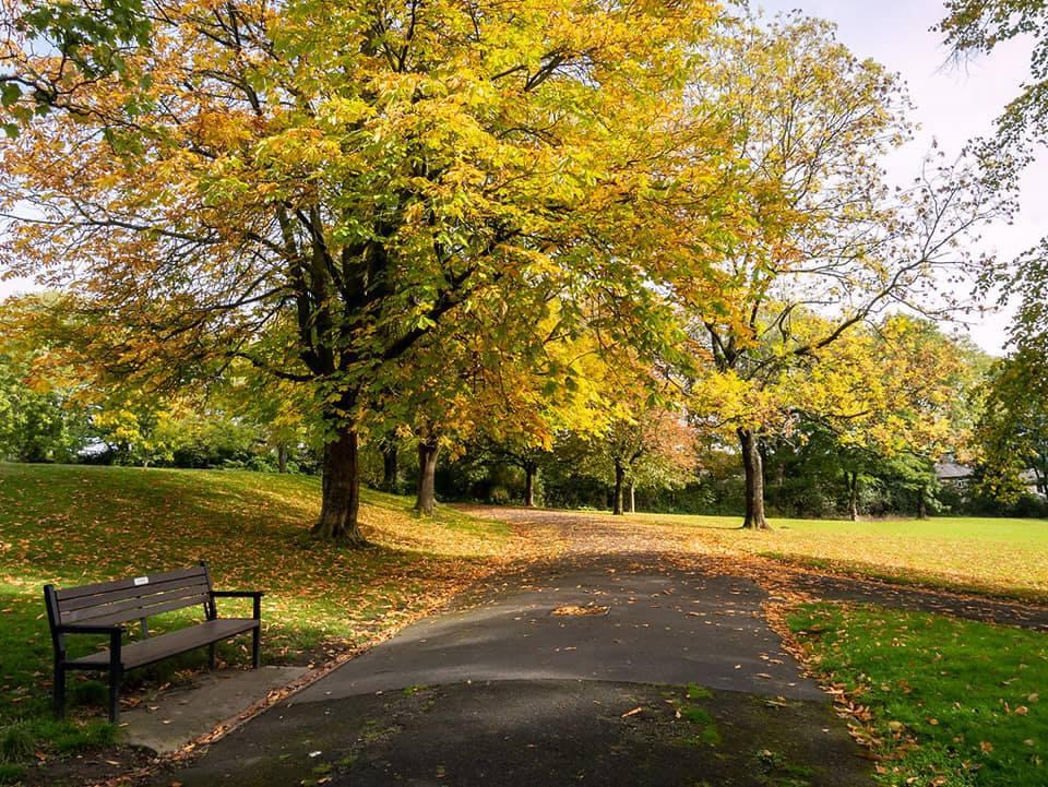 Whitaker Park, Ski Slope Wellness Walk Rawtenstall Foody Friday Walk ...