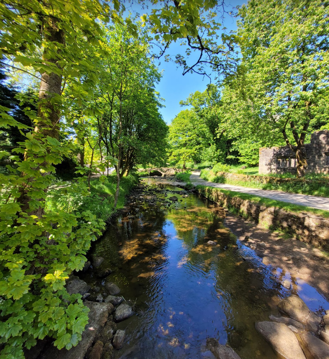 Mid Copeland Weekly Wellness Walk GOSFORTH – Wellness Walks
