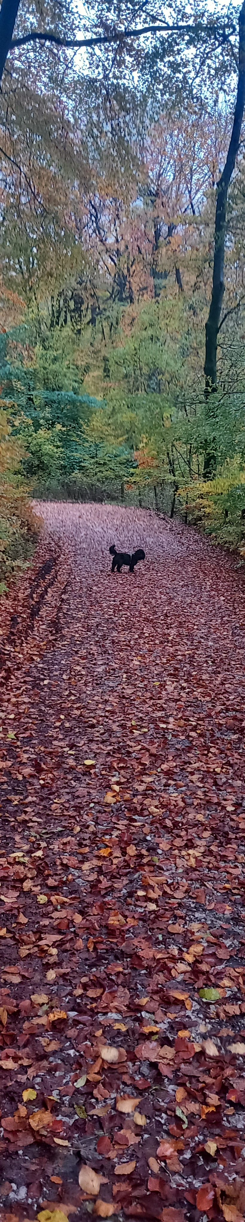 Peak District – Wellness Walks