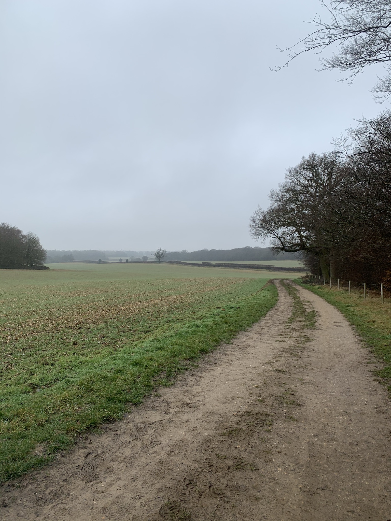 Wheathampstead – Wellness Walks