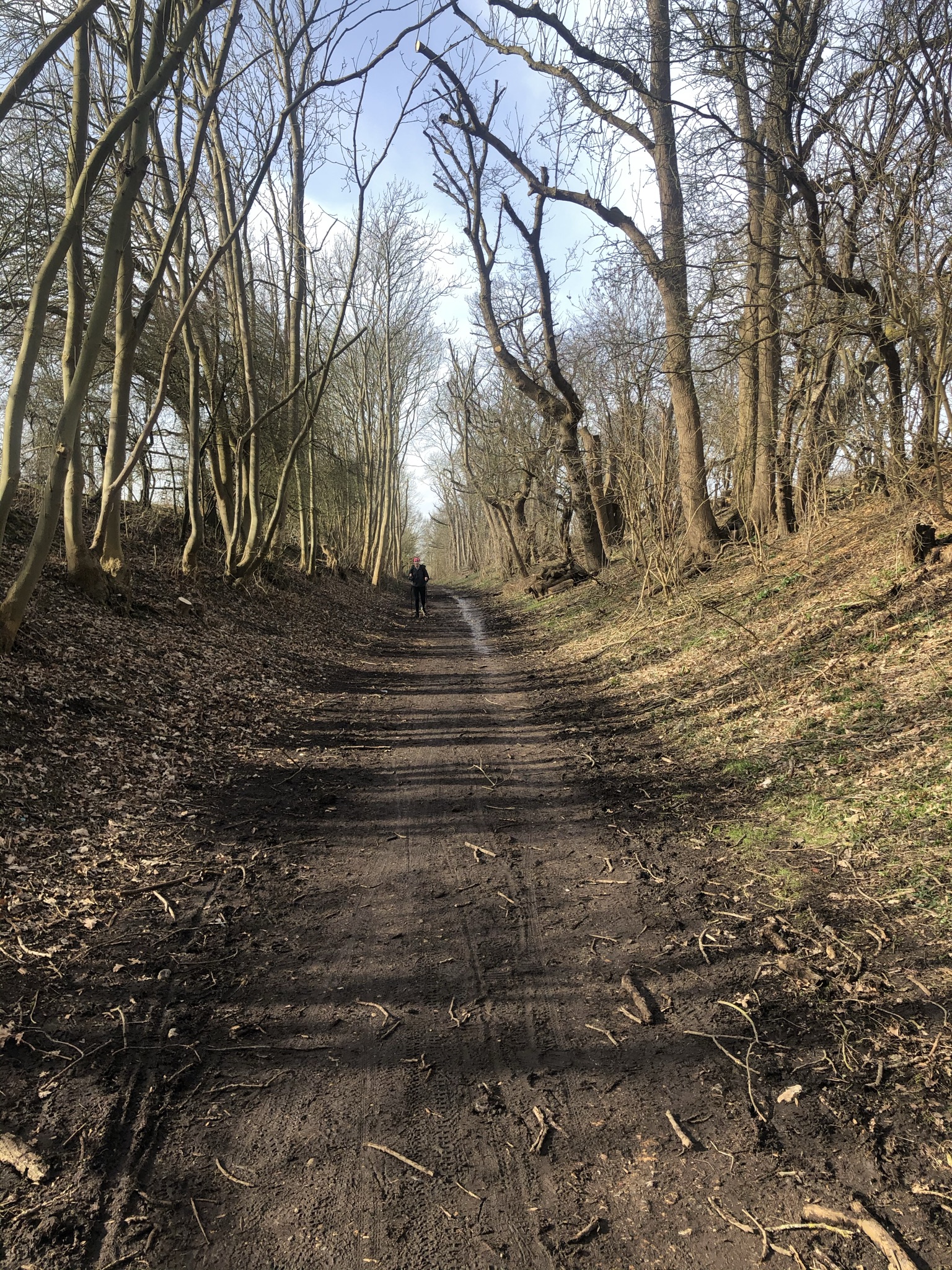 Wheathampstead walk – Wellness Walks