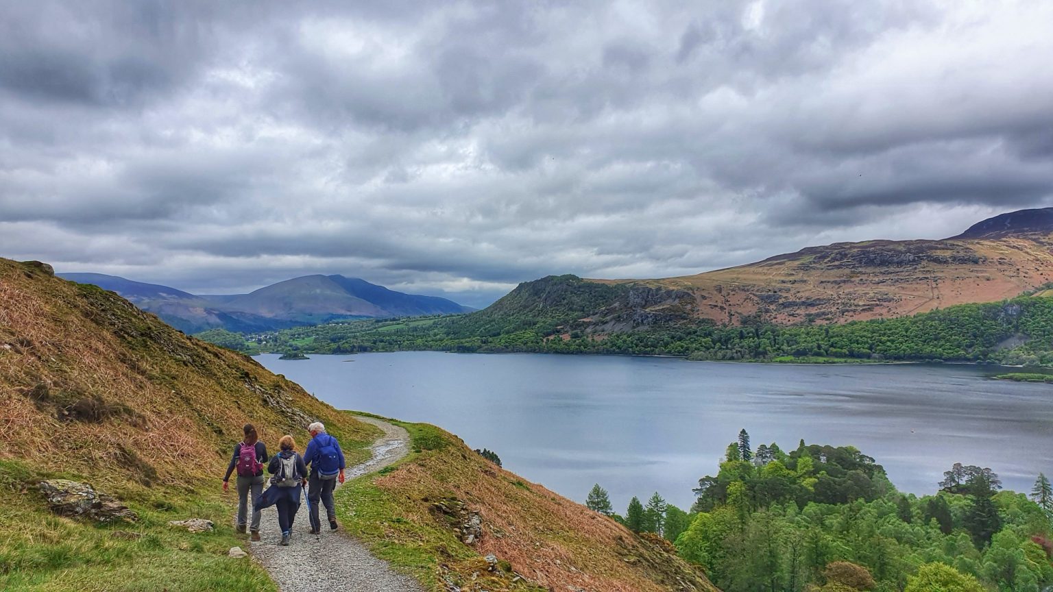 Courses – Wellness Walks