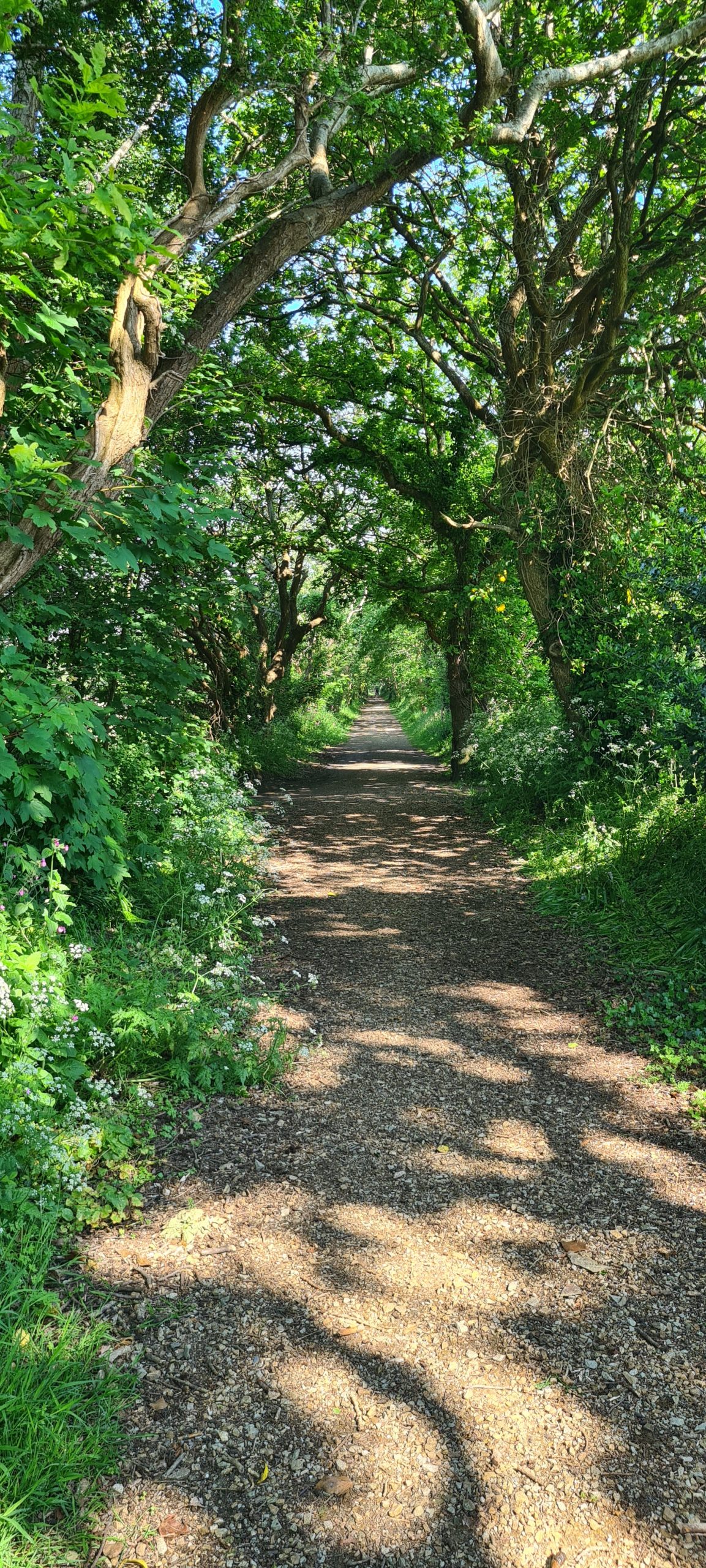 Pwllheli Weekly Walking Group Walk 5 – Wellness Walks