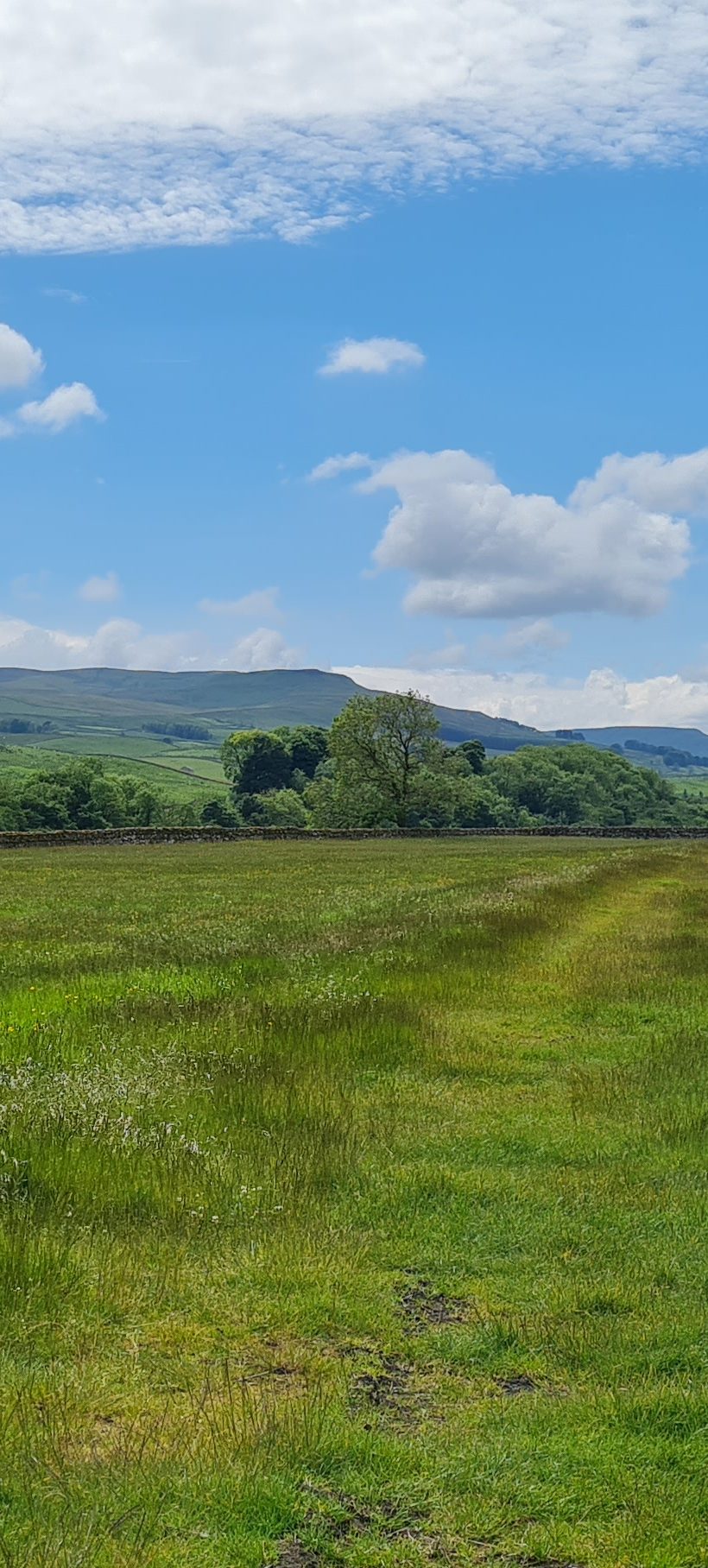 Walks – Wellness Walks