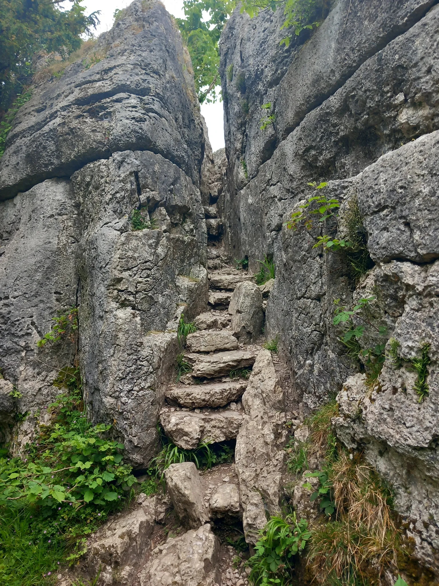 Beetham Fairy Steps – Wellness Walks