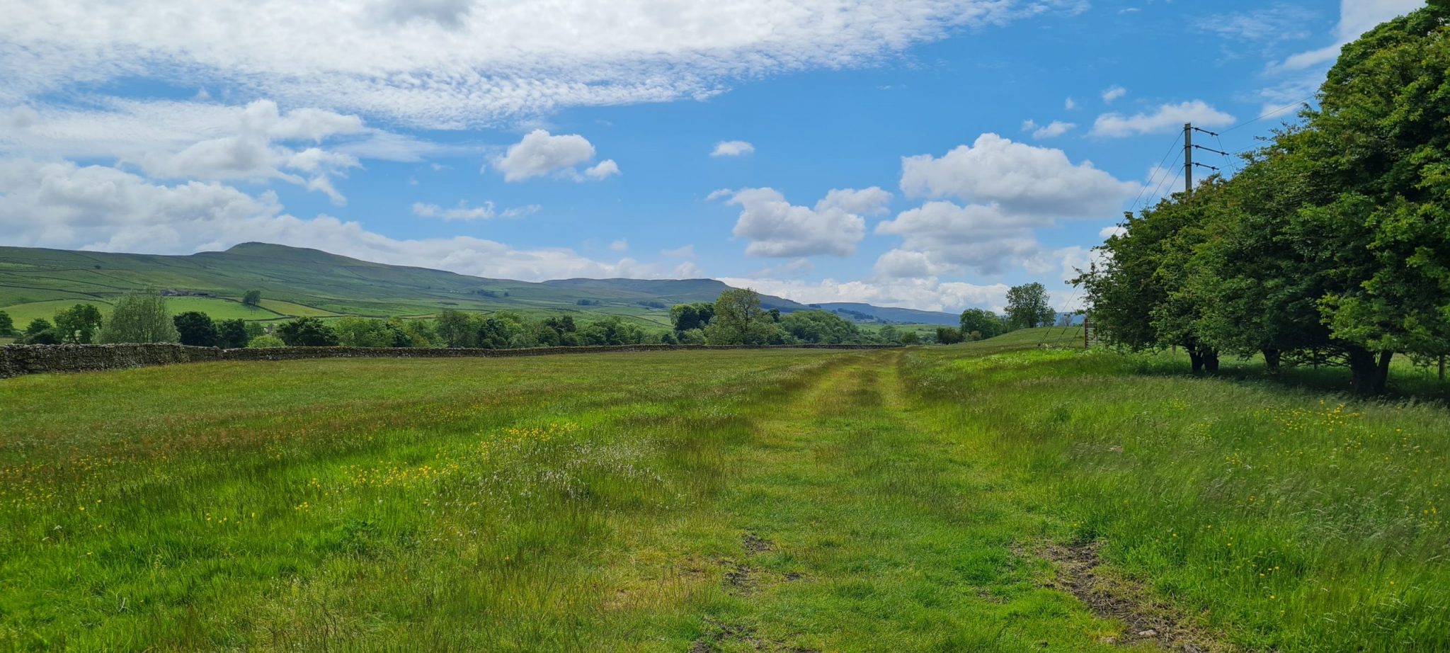 Skell Gill Loop – Wellness Walks