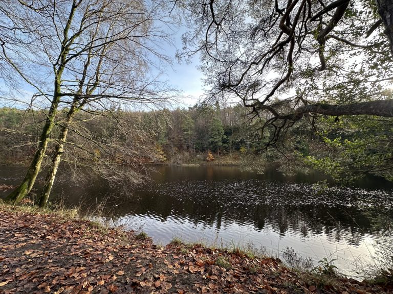 Clapham beck and waterfall circular – Wellness Walks