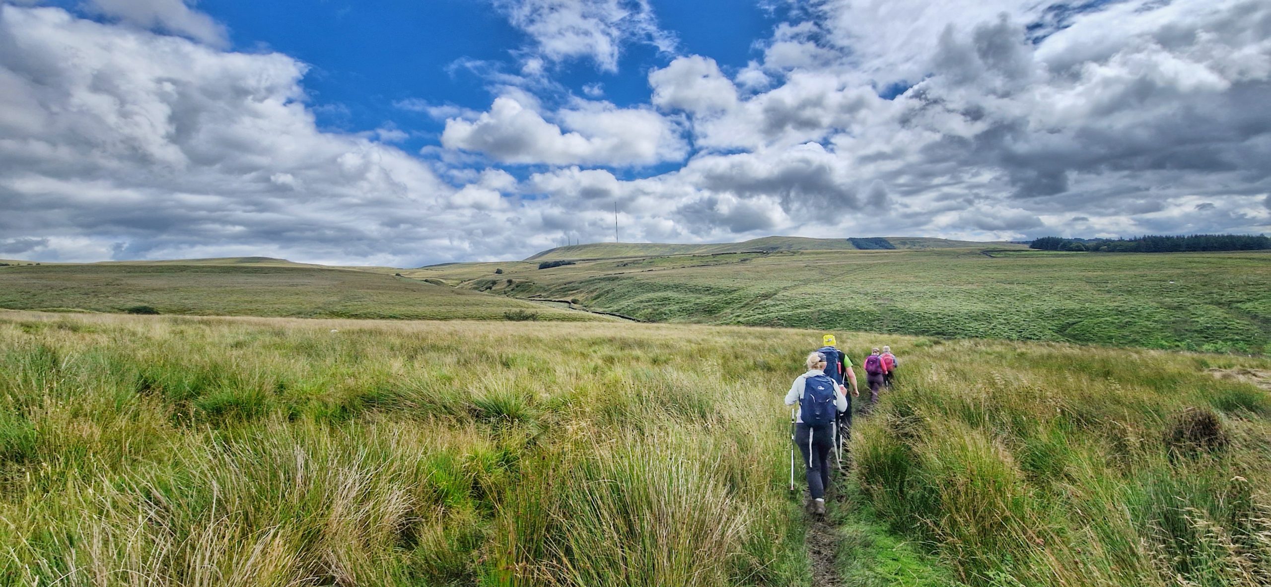 Meet Nick – Volunteer Walk Leader – Wellness Walks