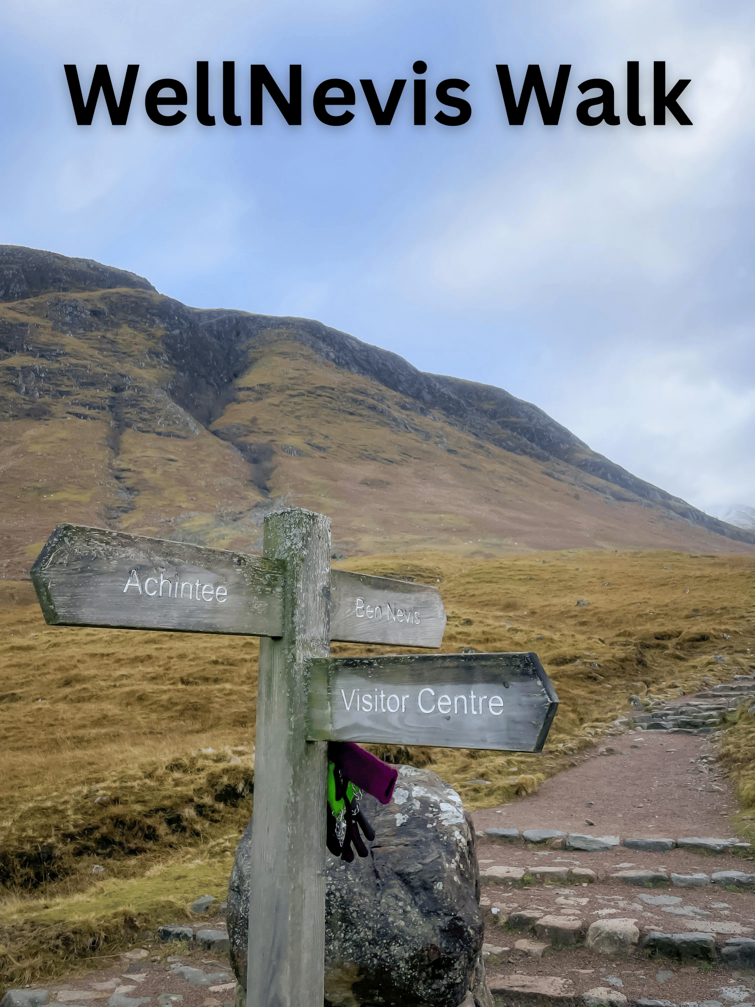 WellNevis Walk – Wellness Walks