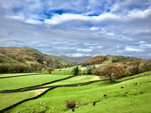 Potter Tarn Staveley – Wellness Walks