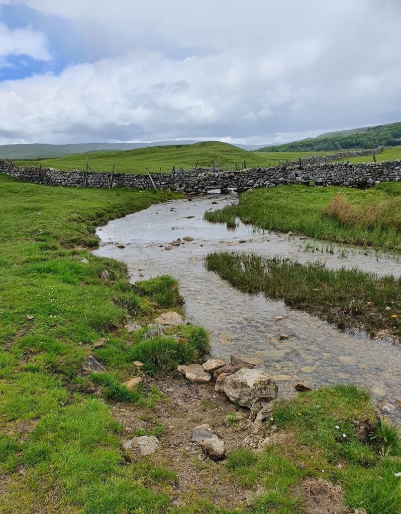 Wander round Malham Tarn to the Cove loop – Wellness Walks