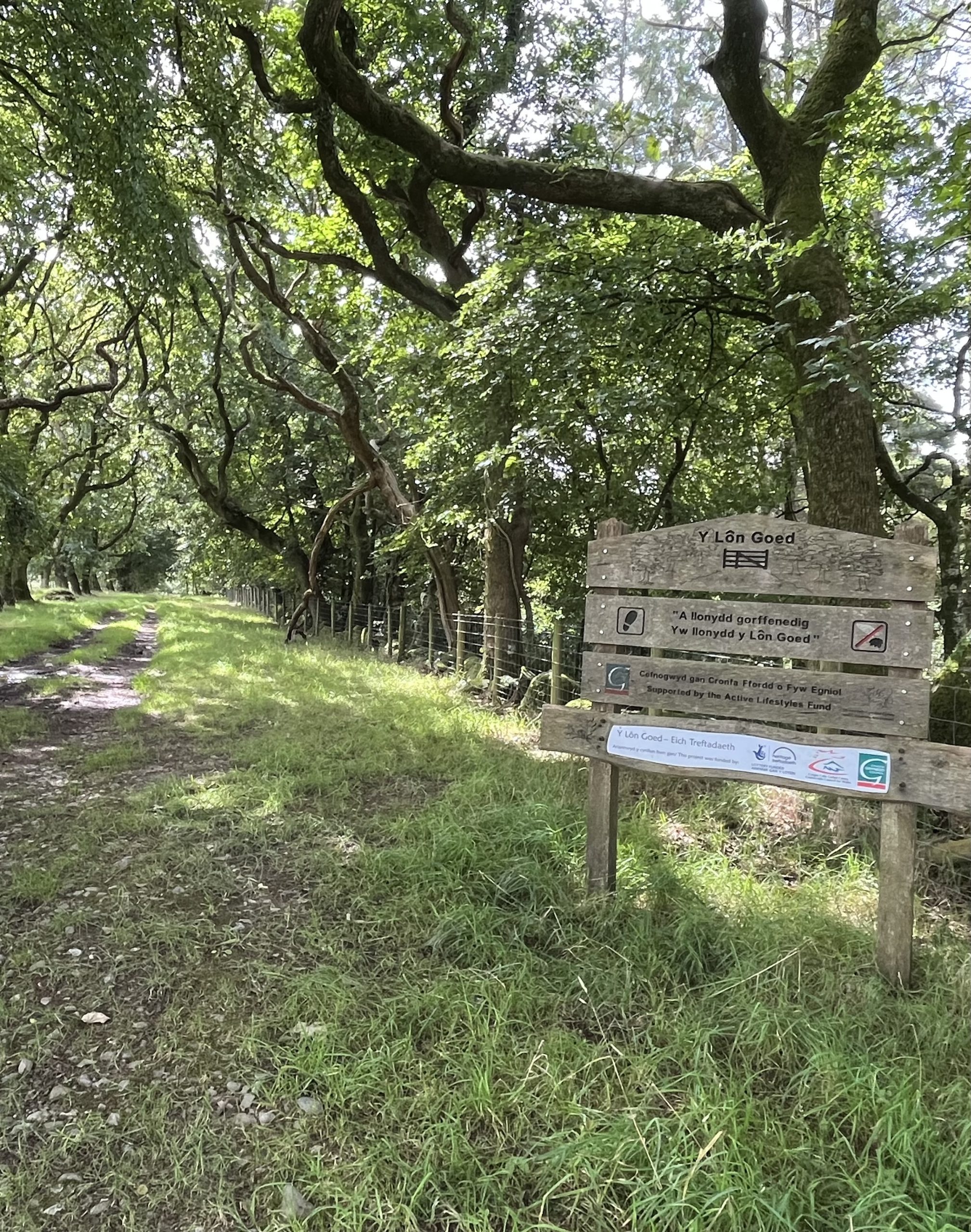 Lôn Goed: Afonwen to Hende Cennin. – Wellness Walks