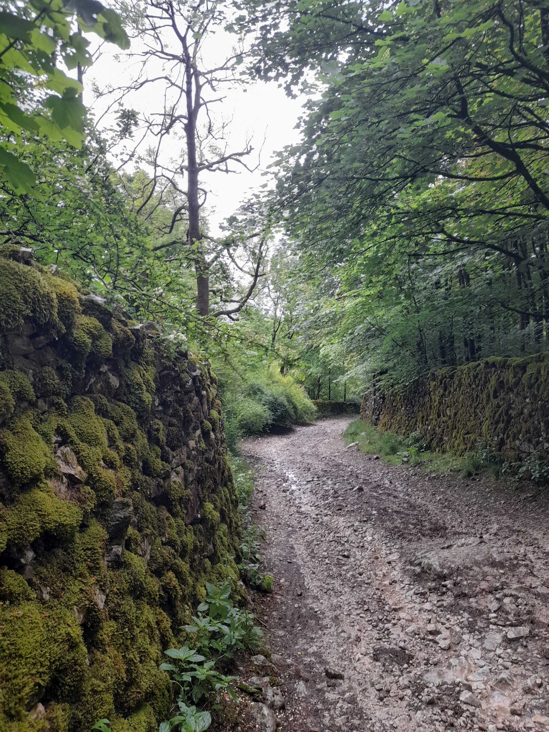 Clapham to Austwick and Norber Erratics – Wellness Walks
