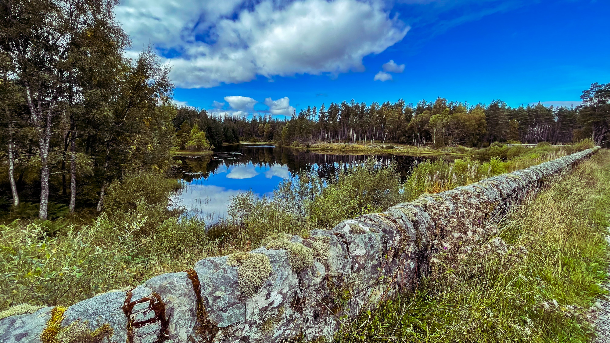 Rannoch Forest – Wellness Walks