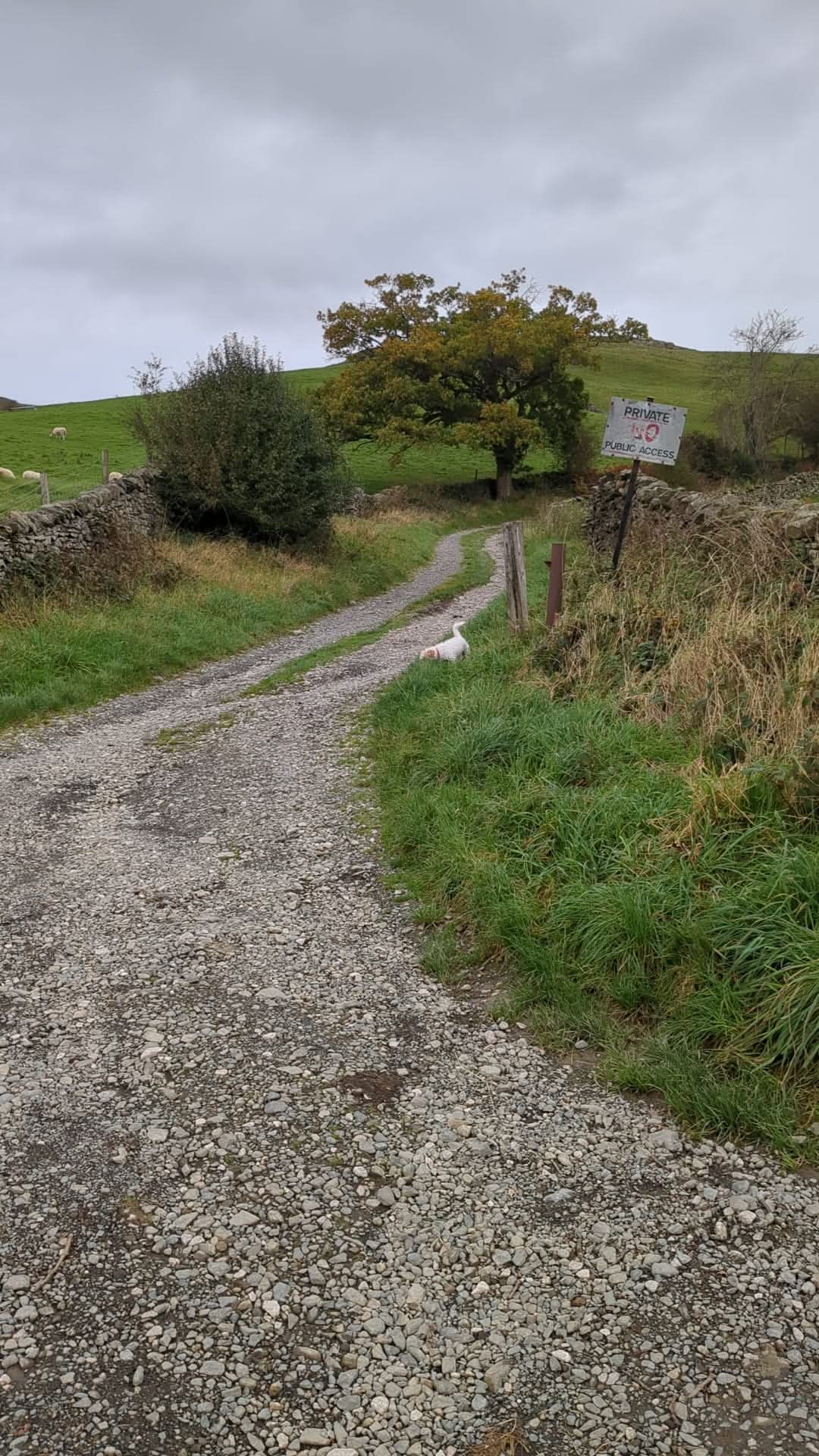 Wansfell from Troutbeck – Wellness Walks
