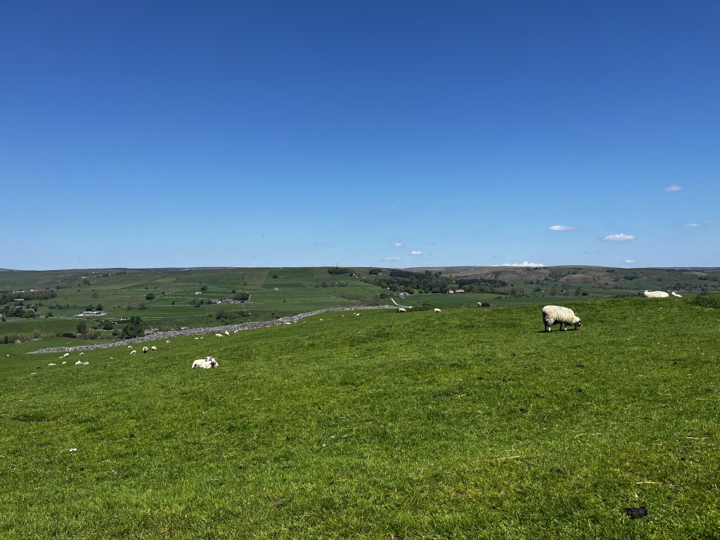 A wind down wander – Burnsall 5 mile loop – Wellness Walks