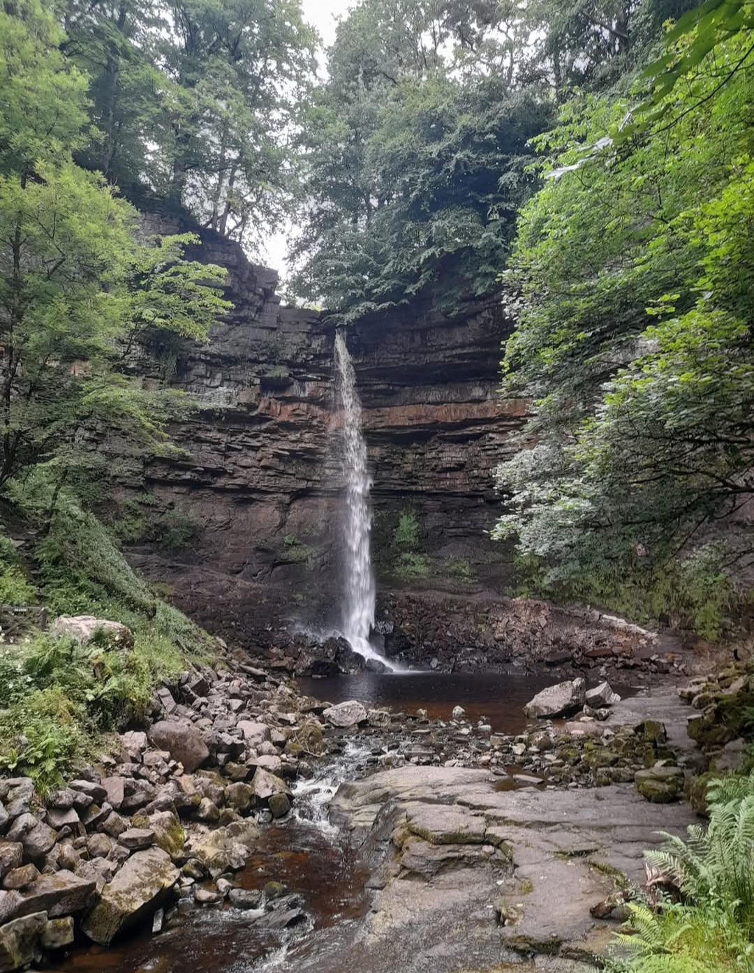 Hawes to Hardraw and back (waterfall option) – Wellness Walks