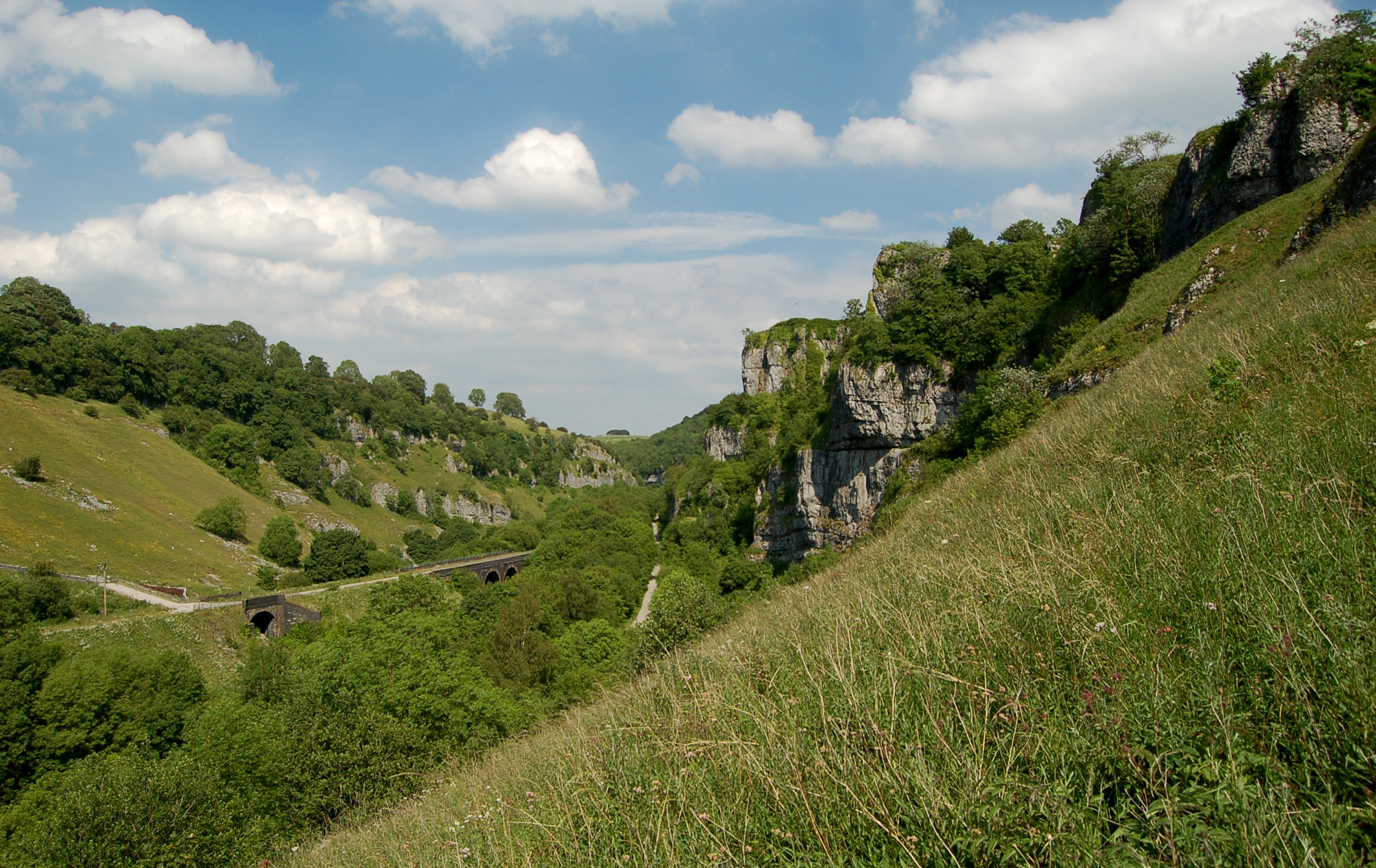 A riverside wildlife walk along the River Wye and Chee Dale in the ...