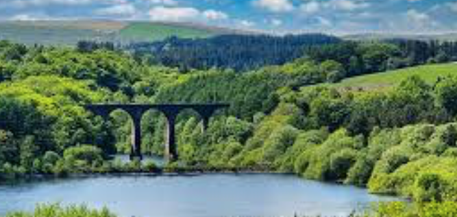 An evening wander around Wayoh Reservoir from Edgworth – Wellness Walks