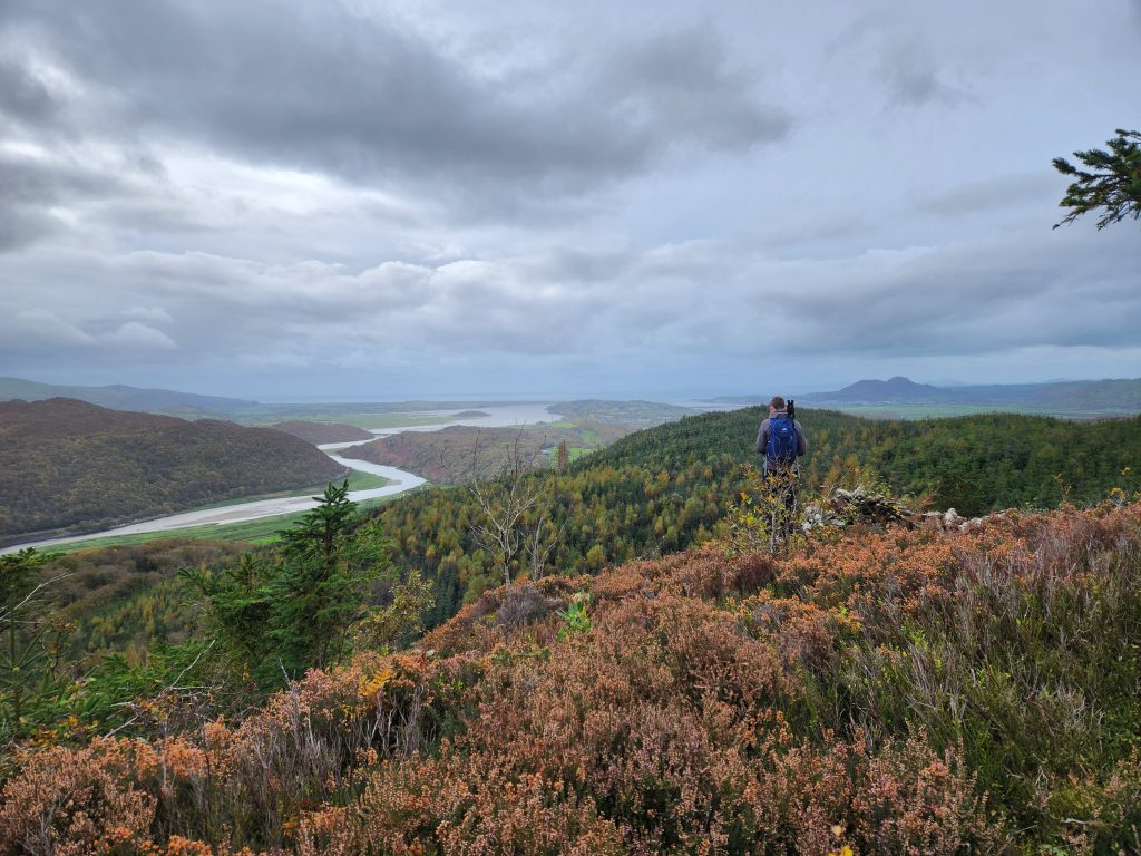 Llyn Mair, Maentwrog Woods & 50 Peaks Viewpoint – Wellness Walks