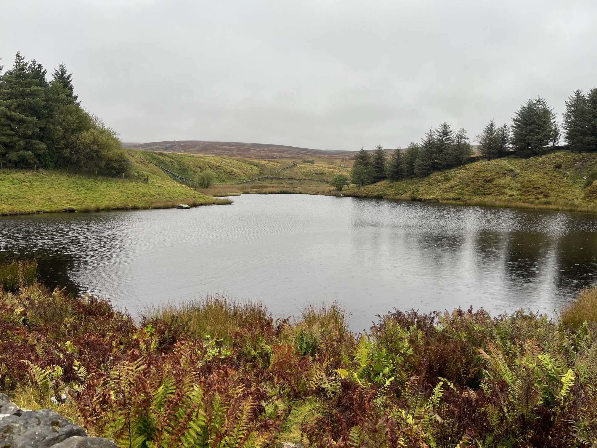 Circular Walk Around Grimwith Reservoir – Wellness Walks