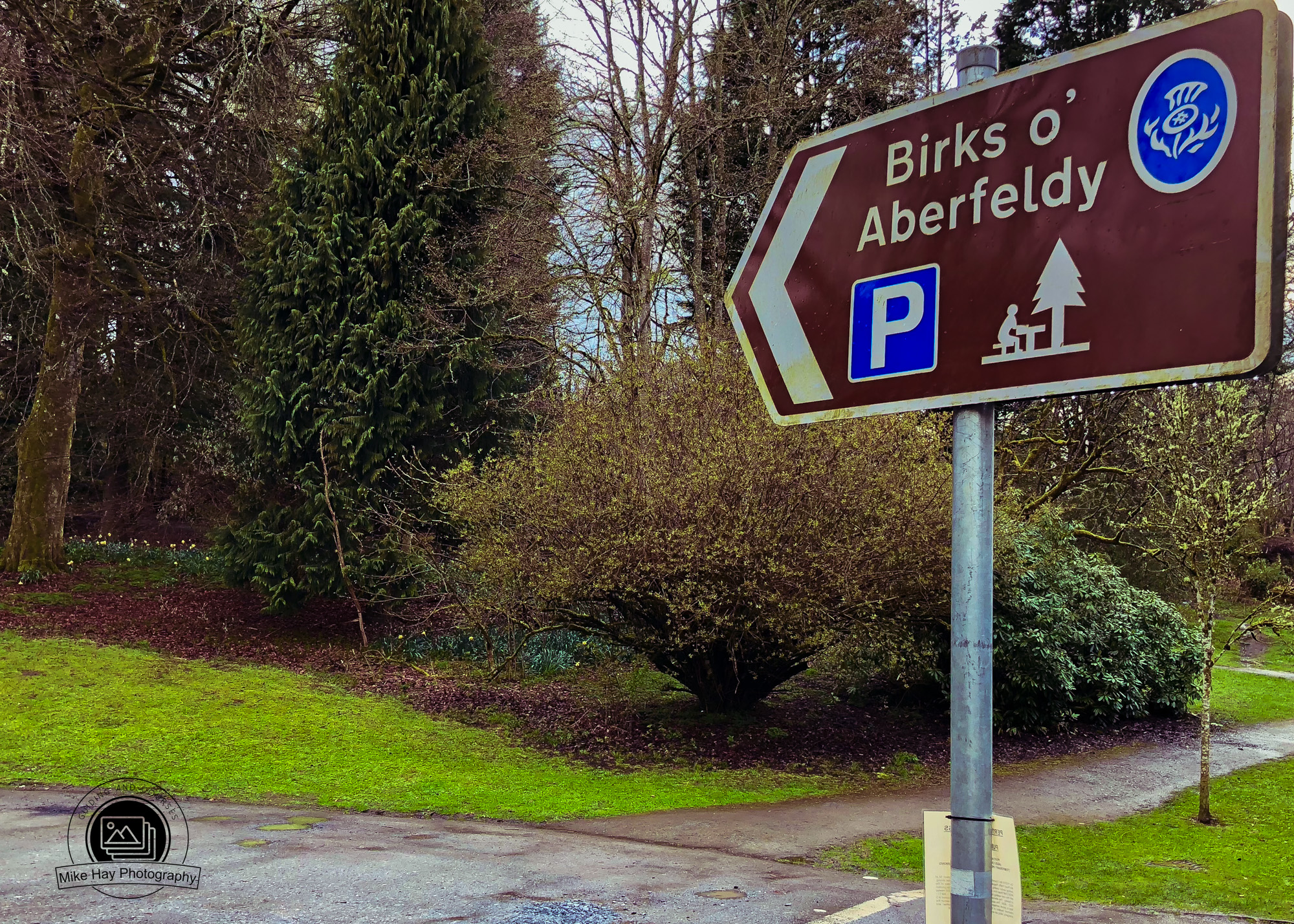 The Birks of Aberfeldy – Wellness Walks