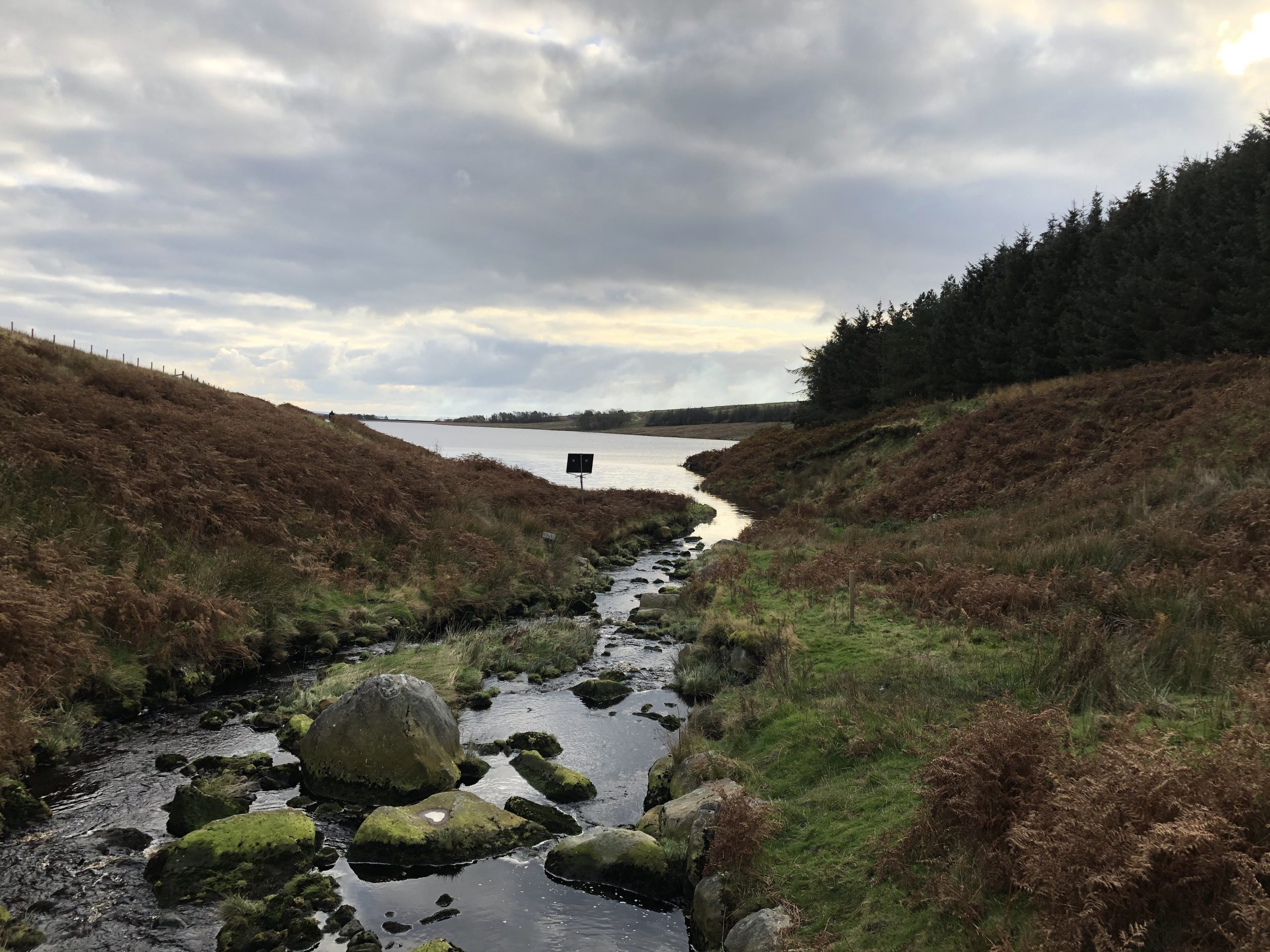 gentle stroll around Grimwith Reservoir – Wellness Walks