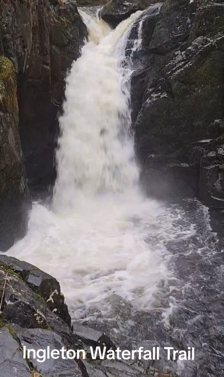 Ingleton Falls 24/6 – Wellness Walks